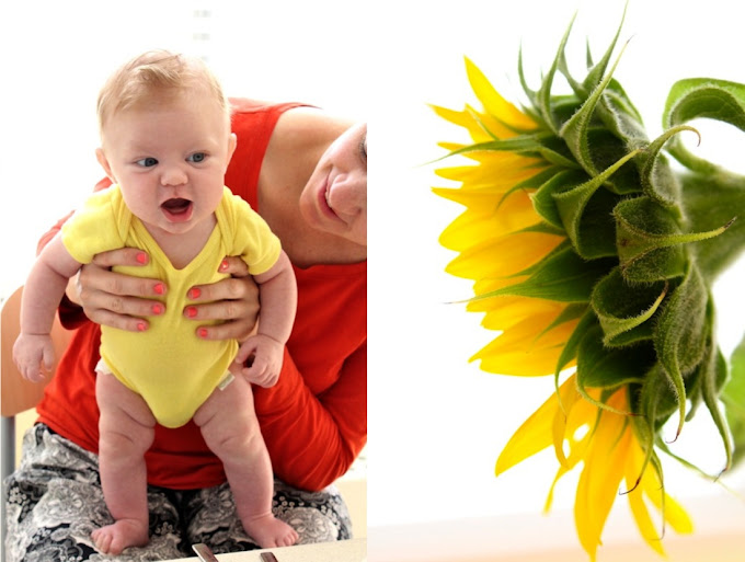 trying to make sense of the world....and squeezing tight - MADE EVERYDAY