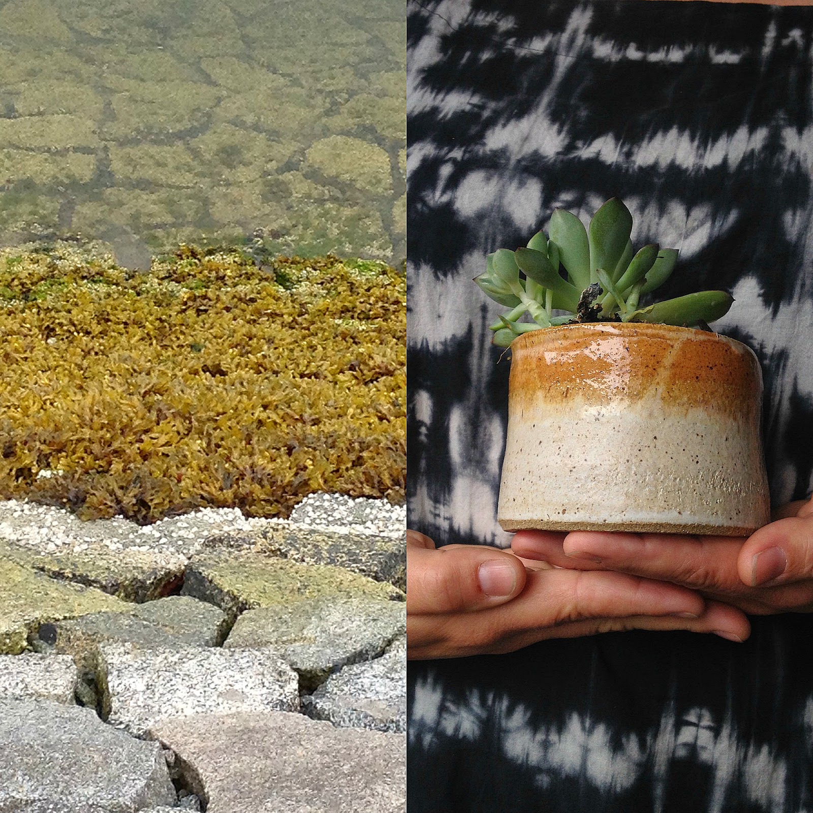 Weekdays from scratch: In The Studio: Texture