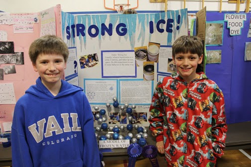 Sunnyland 4th Grade!: Science Fair!