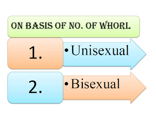 Flowers : defination, types, inflorescence, types of inflorescence ...