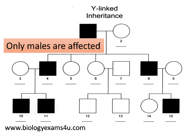Pedigree Analysis meaning, Inheritance Pattern and Problem Solving tips ...