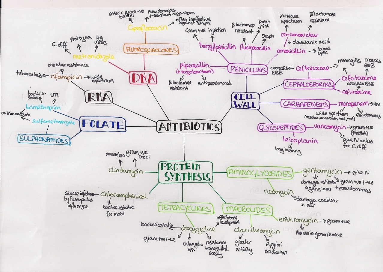 Antibiotics Summary