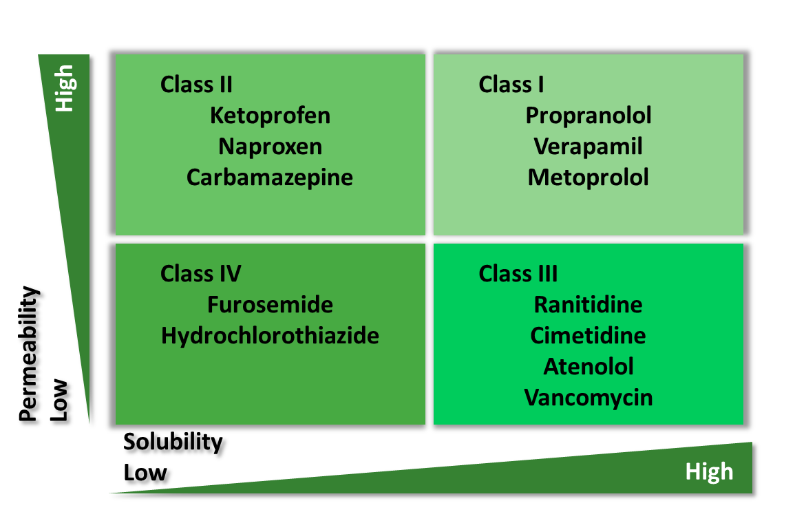 THE BIOPHARMACEUTICS CLASSIFICATION SYSTEM (BCS) l BIOWAIVERS