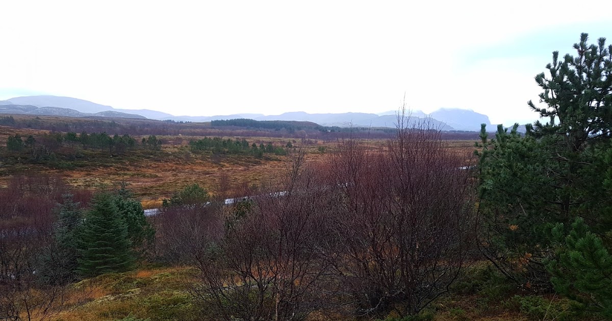 Villmarkshjerte: Til Dønna på GIFF- og Spooky Night event!