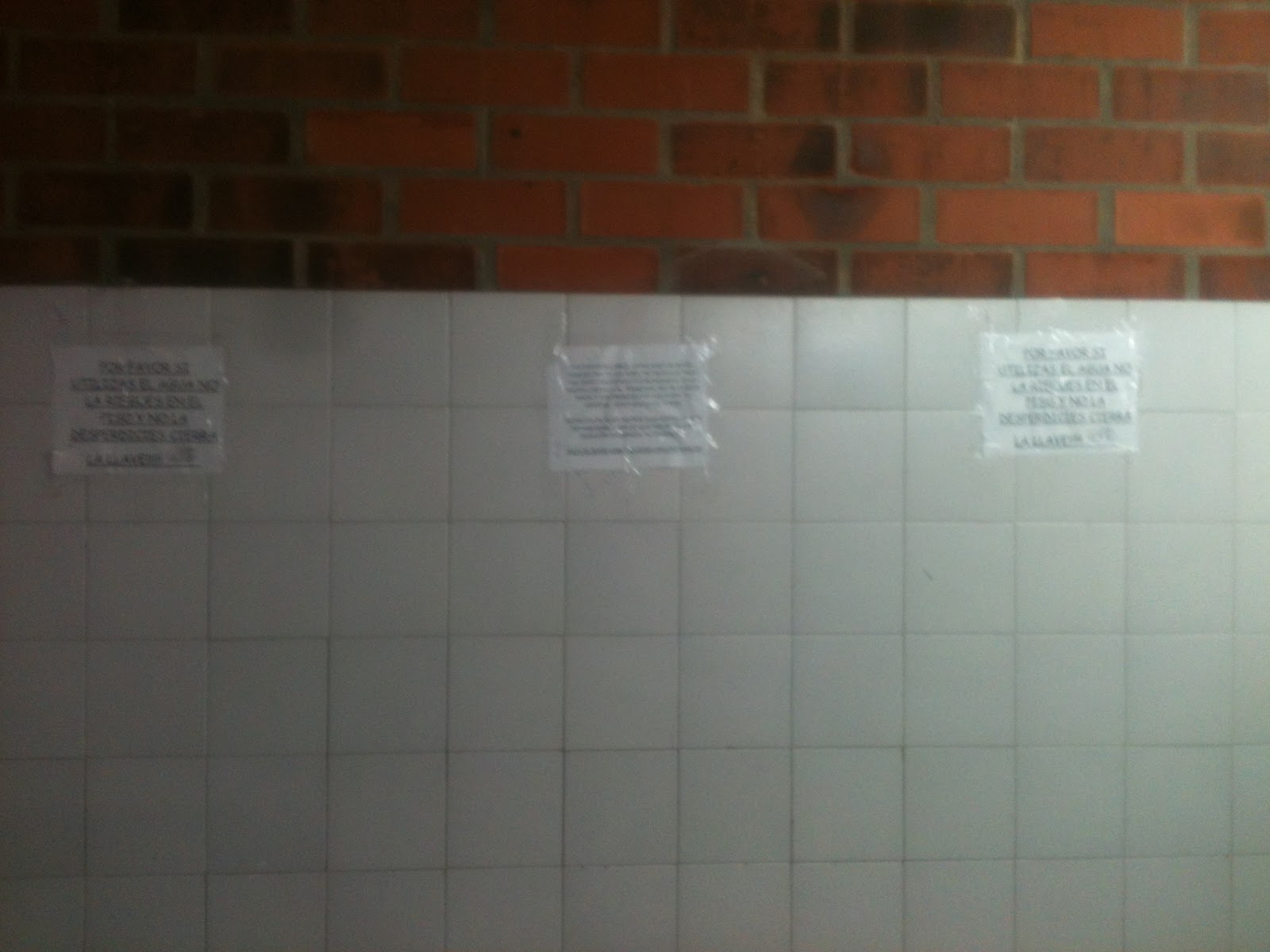 PRAE PEGER CAMILISTA: CONTRIBUCIONES DE NUESTRA ASEADORA