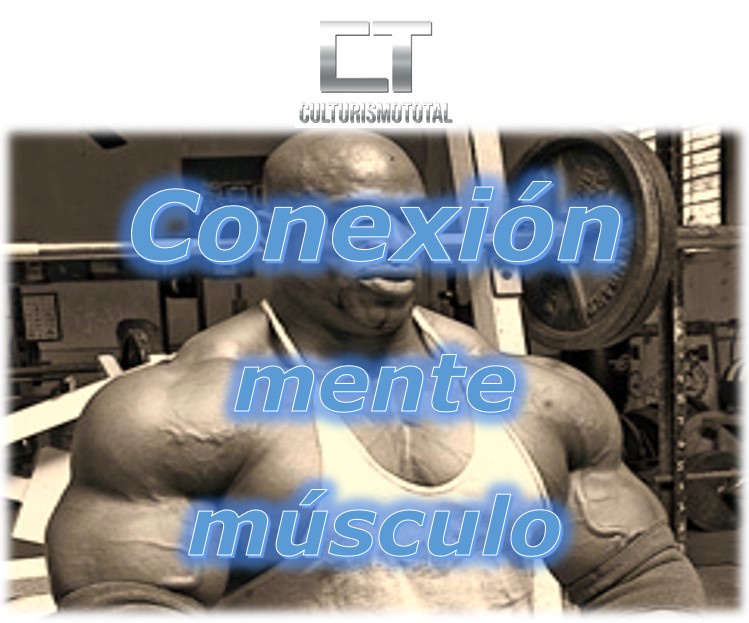Conexión mente músculo ~ Culturismo total