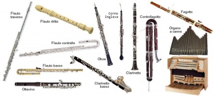 M'innamoravo di tutti: Musicisti, razza variegata. [conoscerli per ...