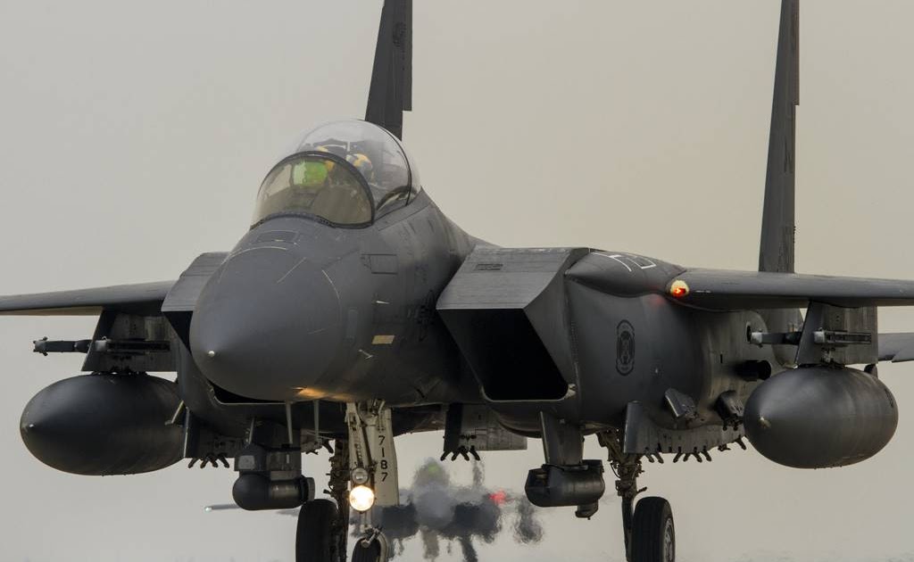 Castle Forge 2021, US Strike Eagles train with NATO allies to enhance ...