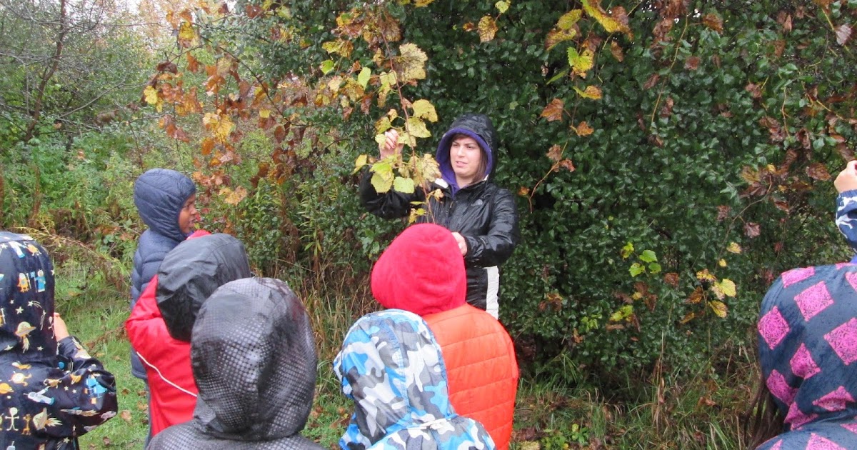 Susan Carpenter's 1st and 2nd Grade Classroom : A Soggy Science/Nature ...