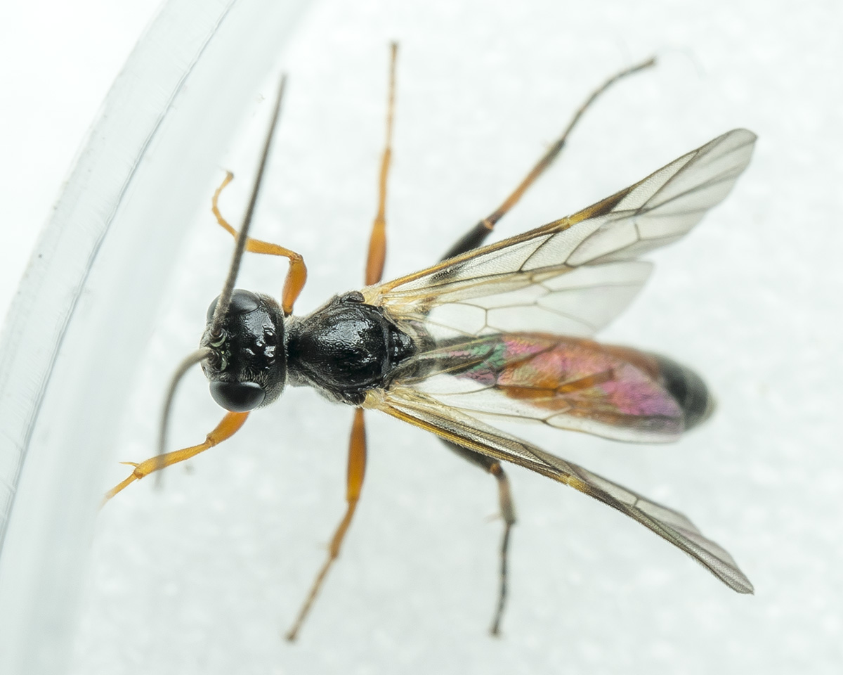 Utgångspunkt 63° 31,x' N - 22° 31,x' O