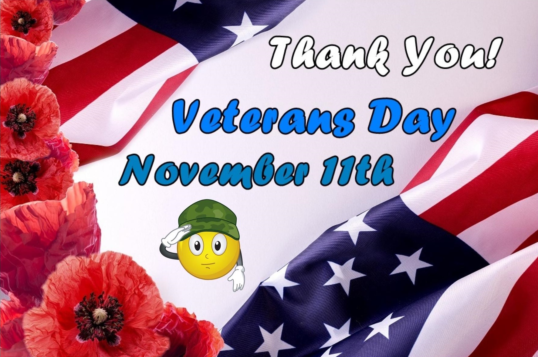 Animations a2z: Veterans Day in the United States - November 11th