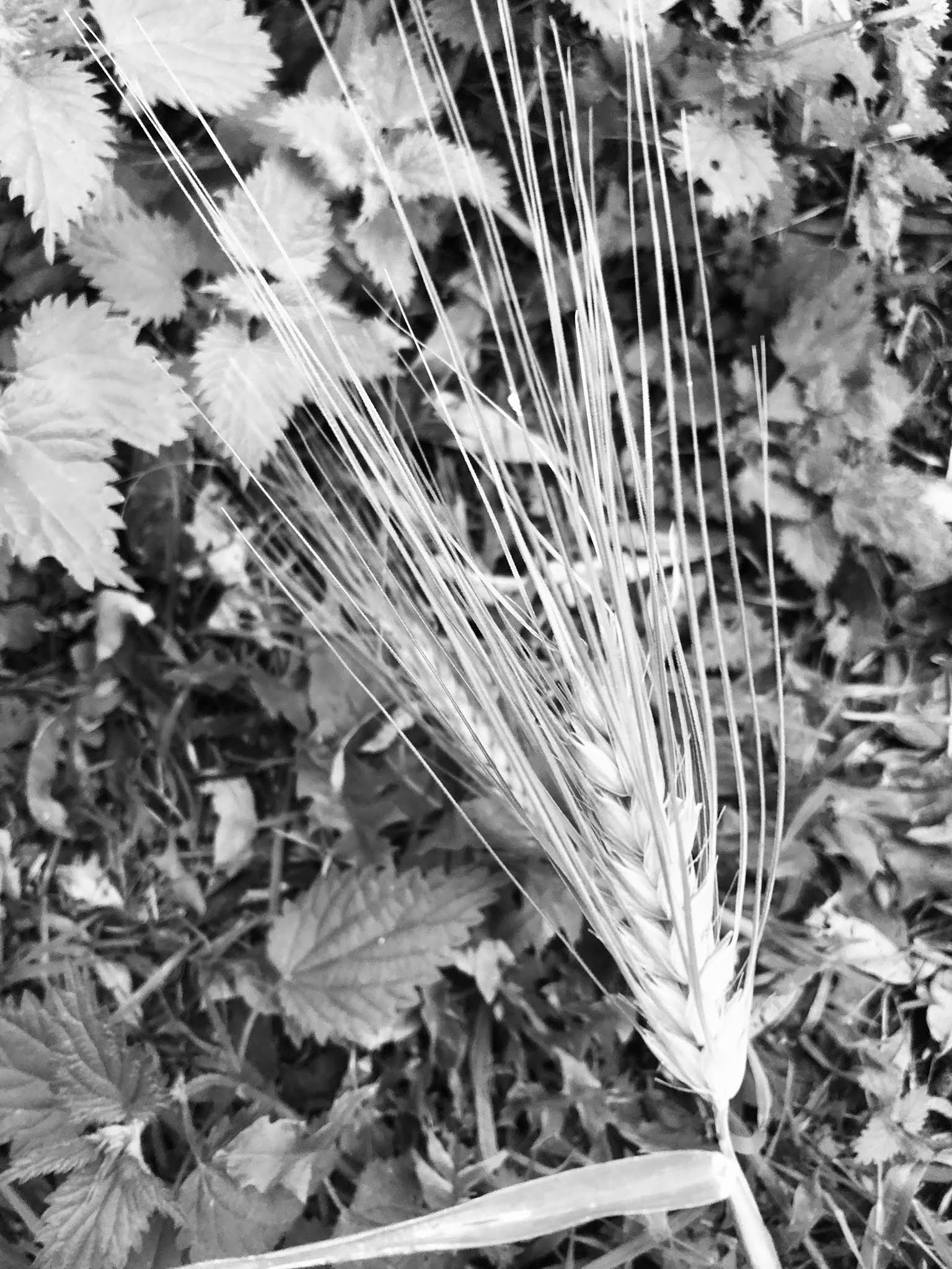 Martin Stepek Photography