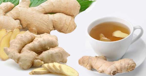 Manfaat Jahe Untuk Kesehatan Dan Kecantikan ~ Toga ( Tanaman Obat ...