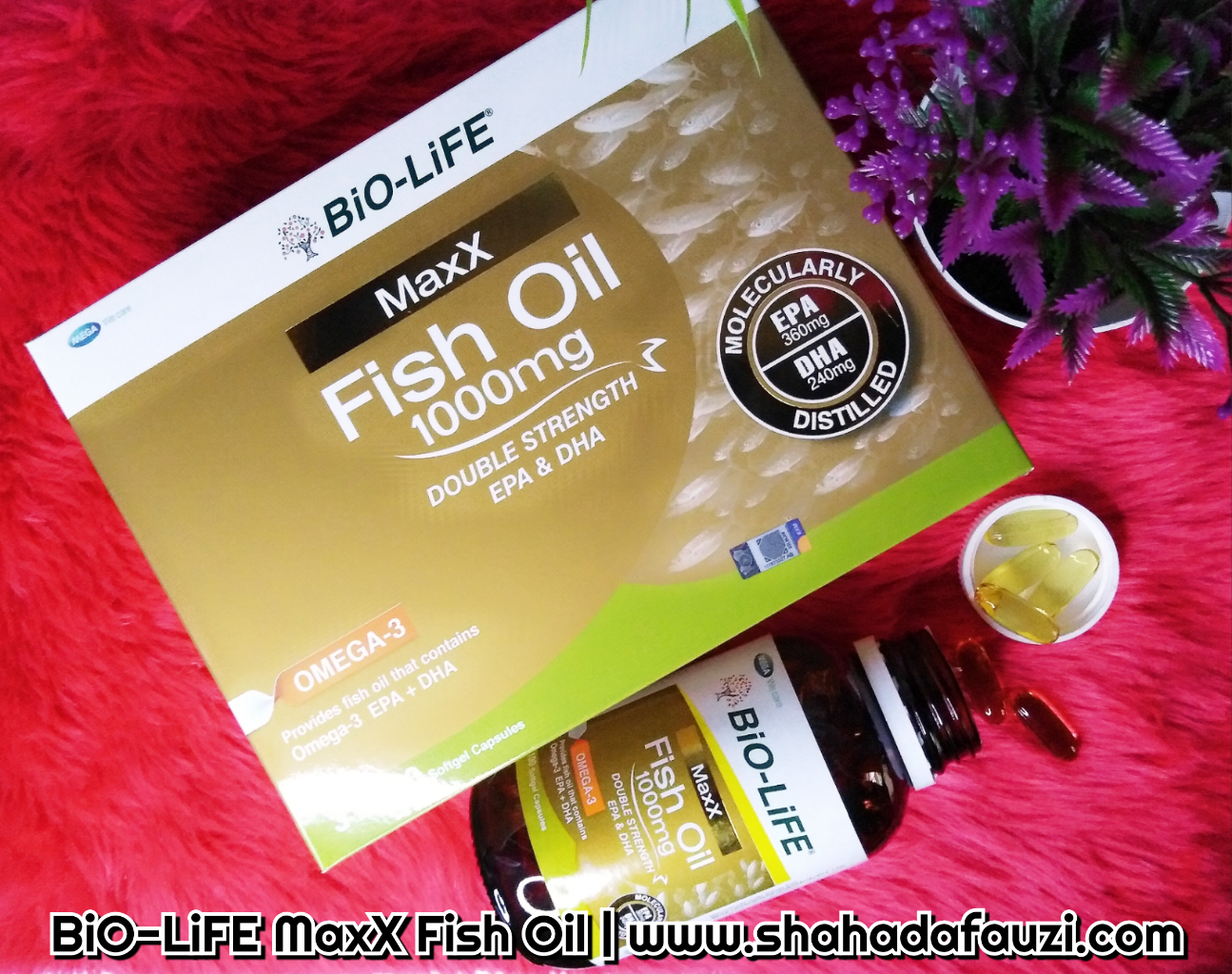 Kepentingan Pengambilan Vitamin Tambahan Minyak Ikan, BiO-LiFE MaxX ...