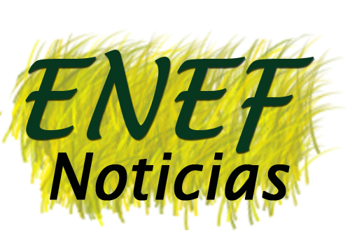 ENEF Noticias: Nueva imagen de ENEF Noticias