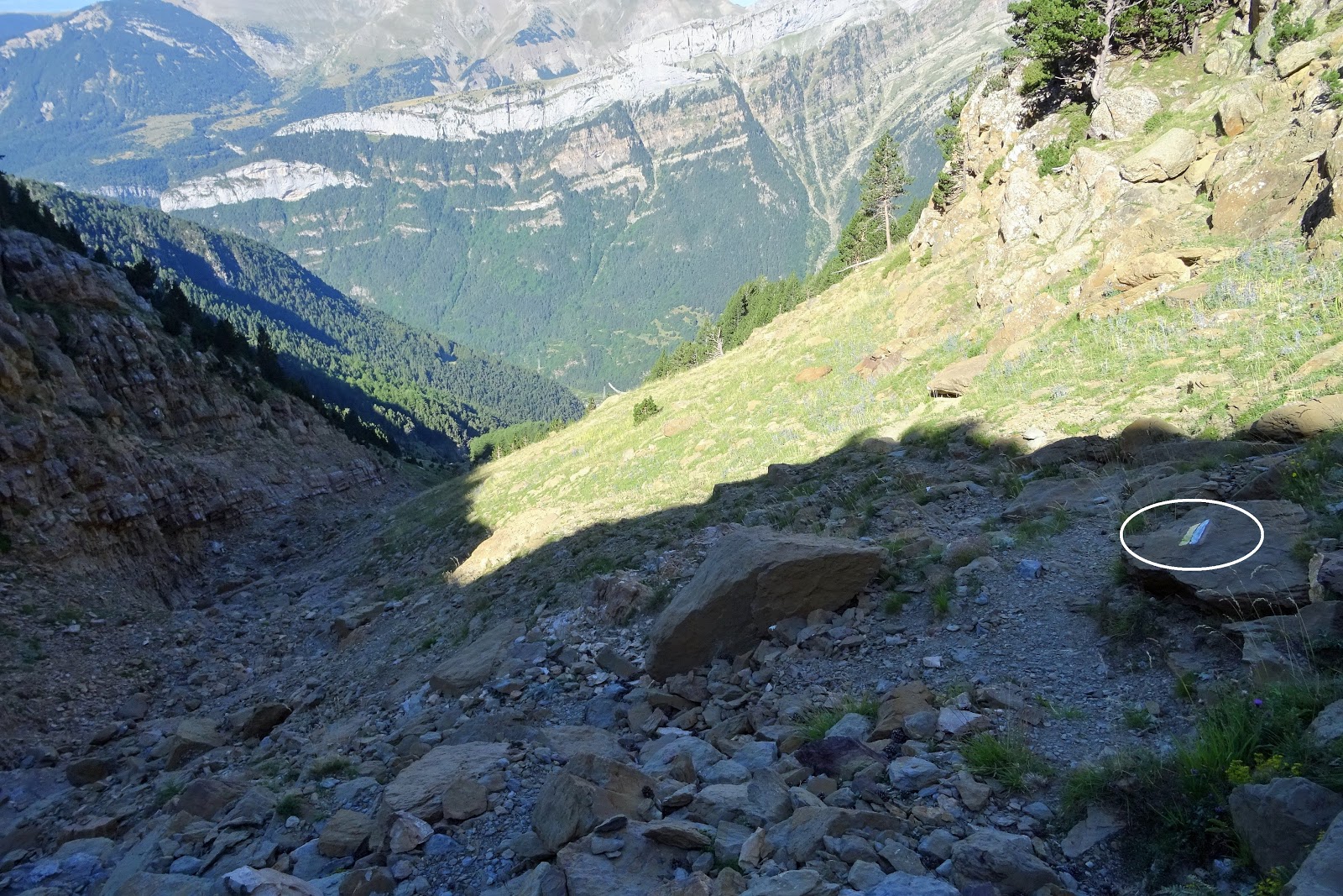 elpirineodejose: Pico La Moleta (2.575 m.) en circular desde Col de ...