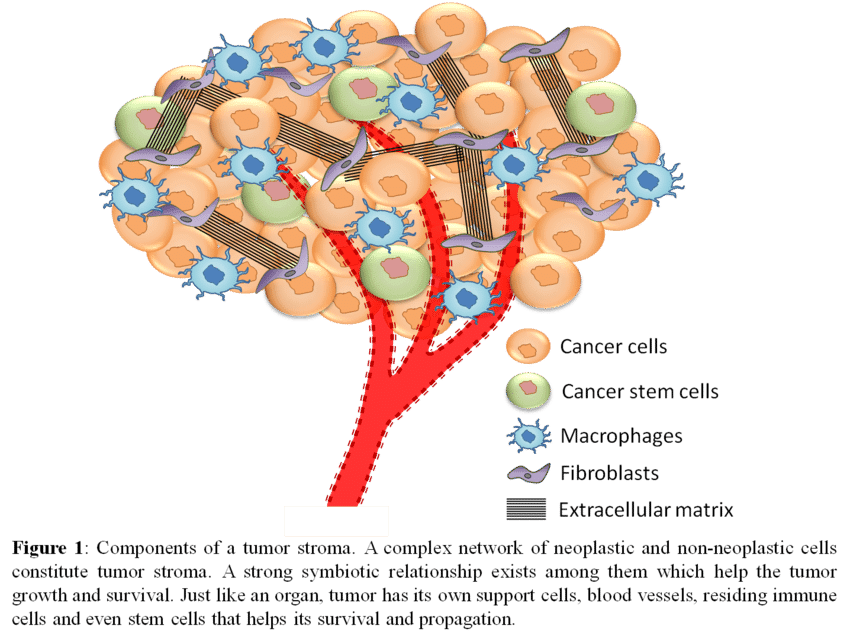 News in Proteomics Research: Toward solving the stromal ...