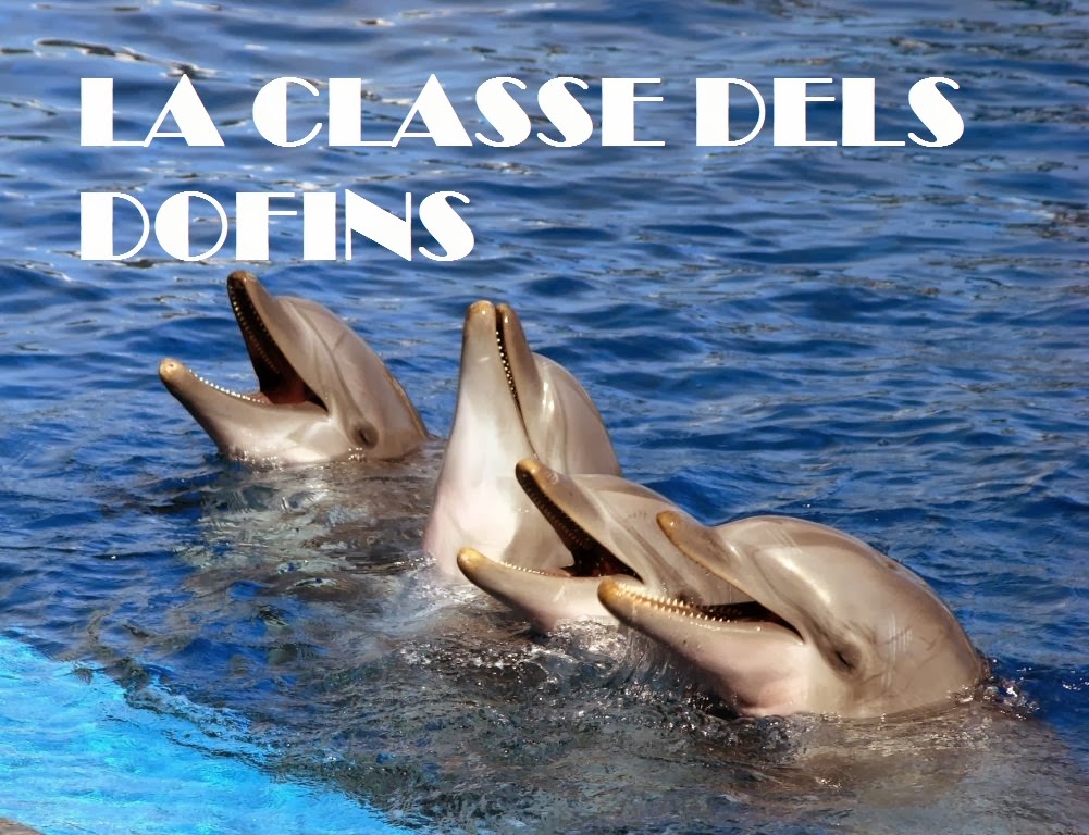 El blog del mestre Carlos: 2014