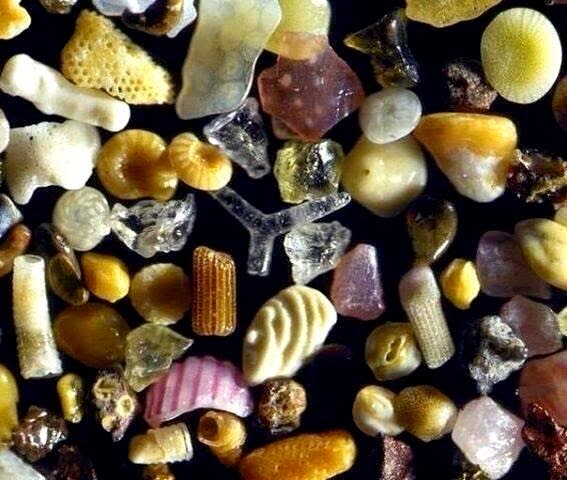 >> Fascinating: Sand Under The Microscope