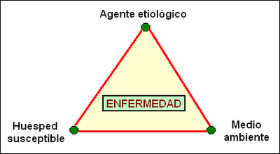 Octa