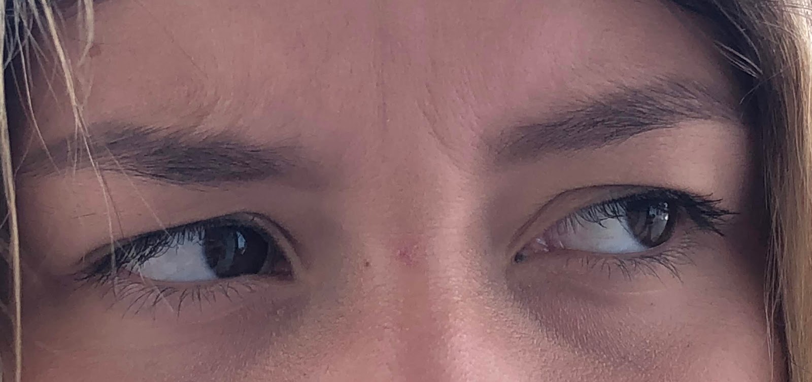 AICE Media Studies: Camera Angles and Shots- Still Shots