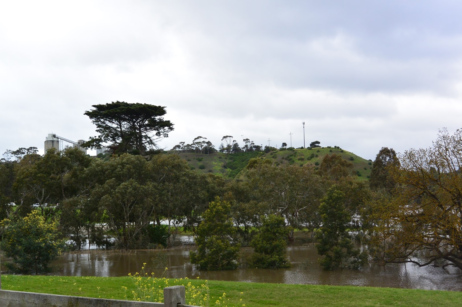 Barwon Blog: ...and up they rise!