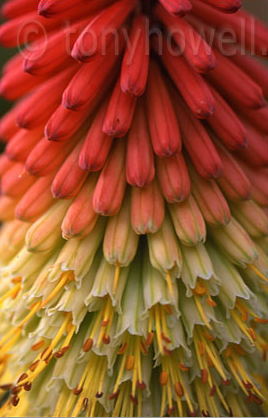 Kate Massey: Tony Howell - abstract photographer and Snibston talk