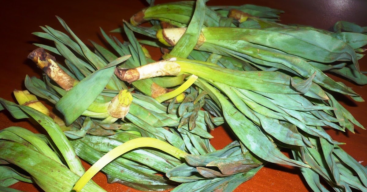 Çiriş otu - Çiriş otu ile yumurtalı kavurma | DURU TARİFLER