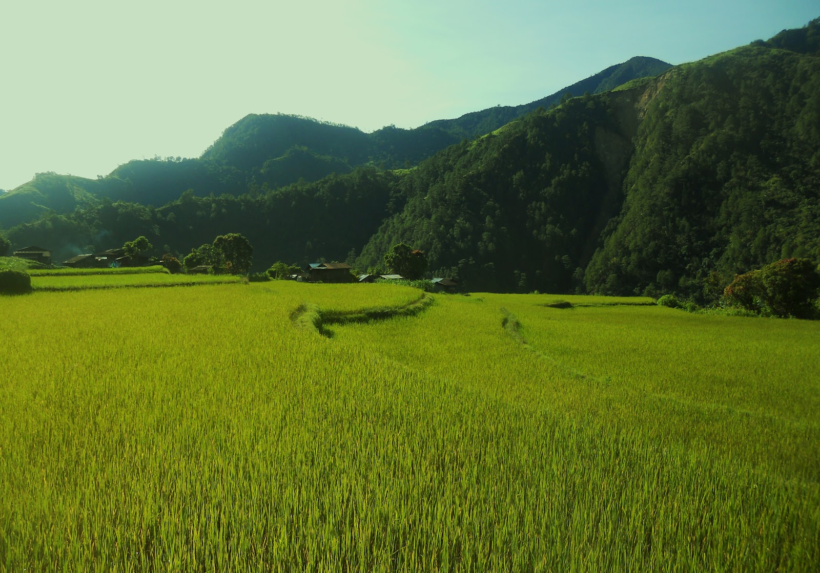 The Hidden Valley ...Colayo: Trip to Pasil,the Salip festival and ...