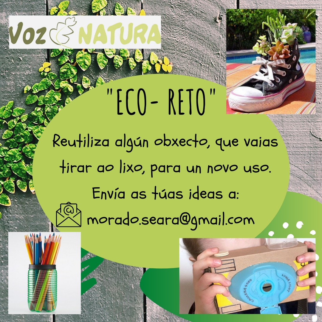 CUARTO CURSO DE SEARA: ECO-RETO DE VOZ NATURA