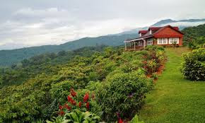 Ana Elfen Escribe : LA RUTA DEL CAFÉ, SOCONUSCO, CHIAPAS