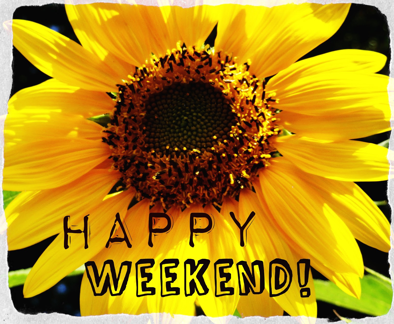 Hudson's Holidays - Designer Shirley Hudson: September is here!