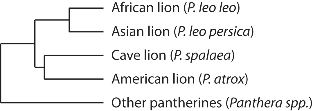 A (palaeo)biologist postdoc's views of the past, present and future ...