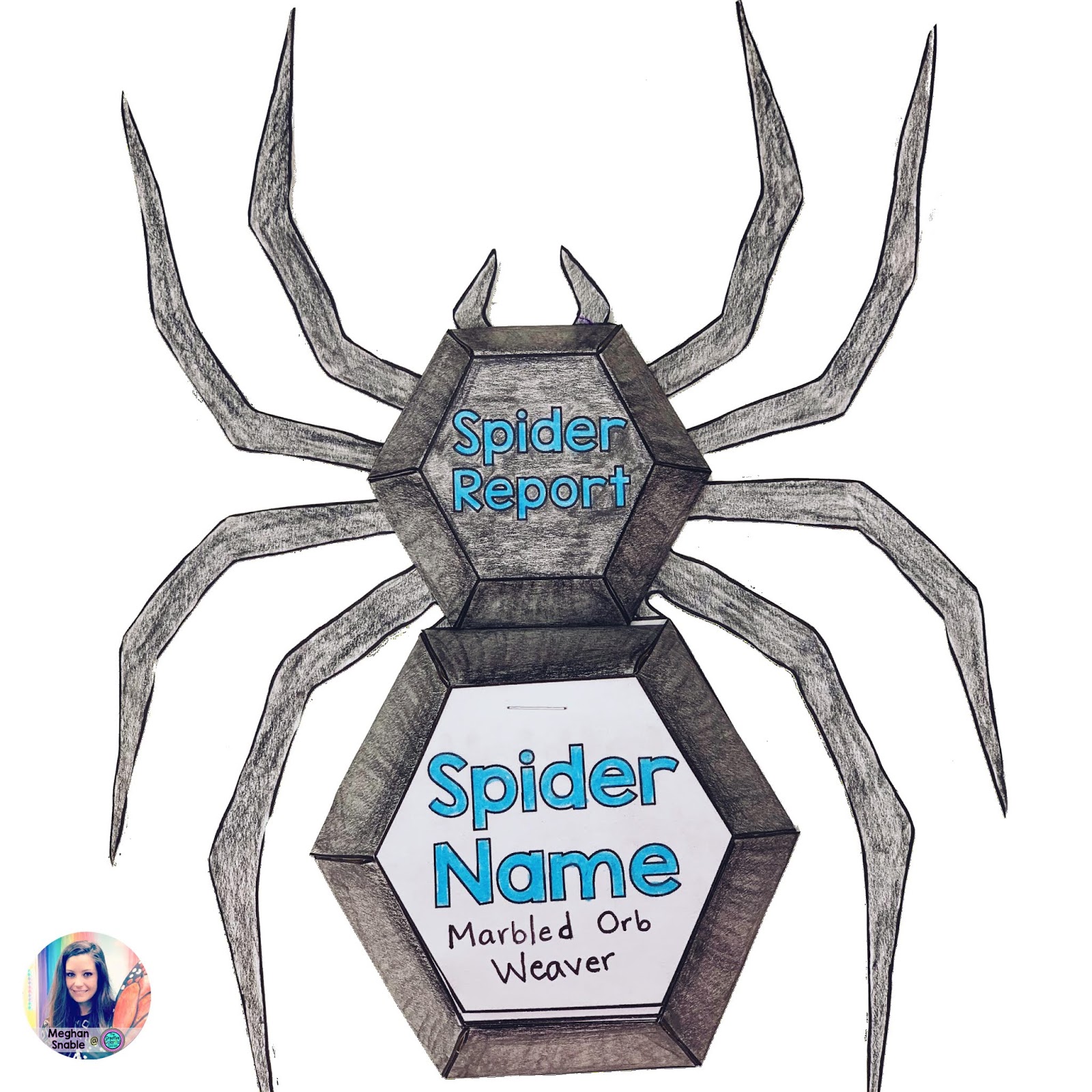 The Creative Colorful Classroom: 3-D Spider Report