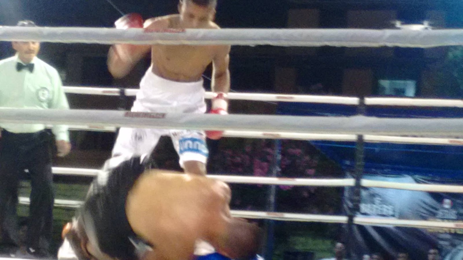 VESBOX: JESUS BRAVO NOQUEO AL CHILENO EN EL PRIMER ROUND.