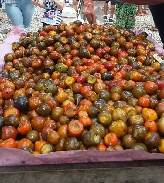 PUPUNHA O SABOR PARAENSE | VOX POPI