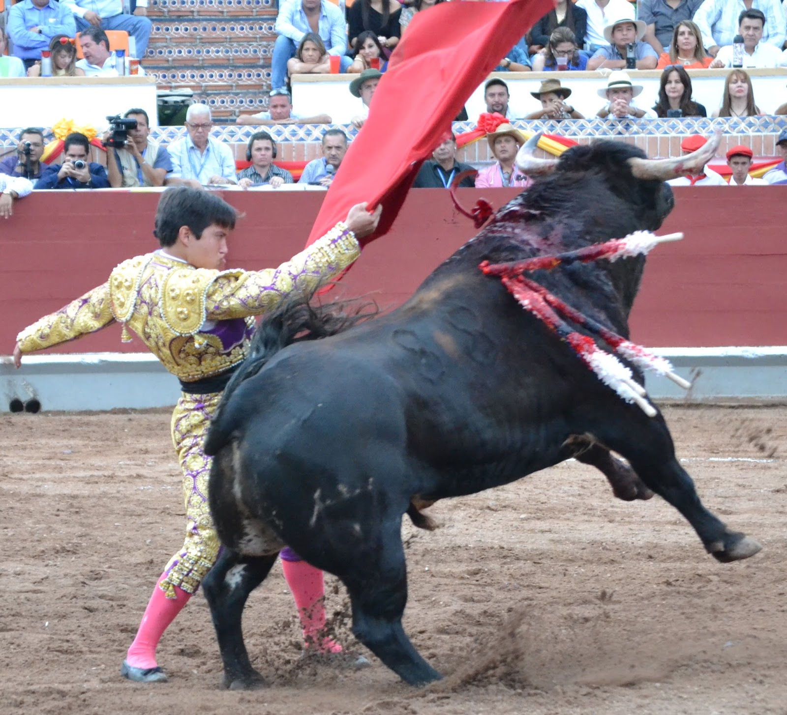 Notiferias en Venezuela y el Mundo: ORTHEZ (FRANCIA): Solitaria oreja ...