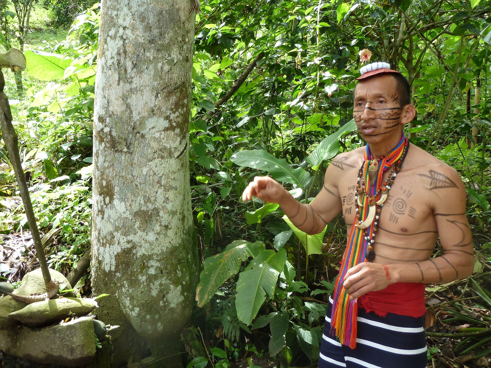 England to Ecuador: Tsachilas