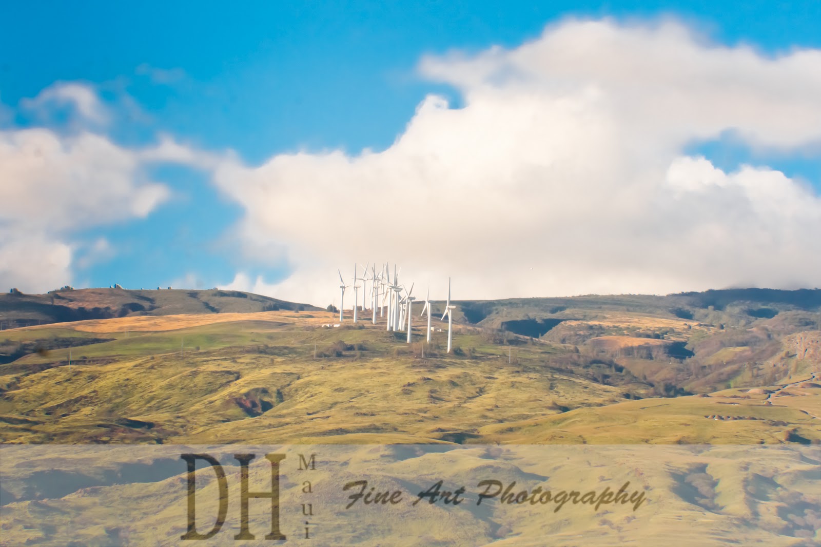 DH Maui and DH Idaho Fine Art Photography, and Velata Masonry ...