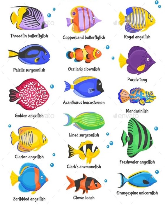 เรียนภาษาอังกฤษ ความรู้ภาษาอังกฤษ ทำอย่างไรให้เก่งอังกฤษ Lingo Think in ...