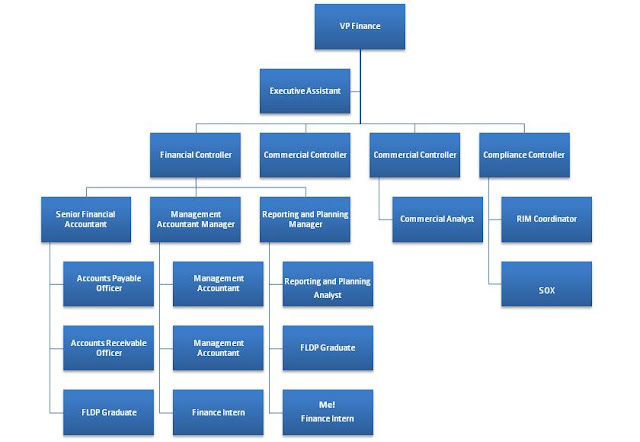My Journey at J&J: Finance Organisational Chart