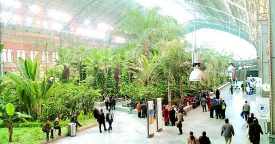 La Gata Rufa: Mi amiga La Samaritana