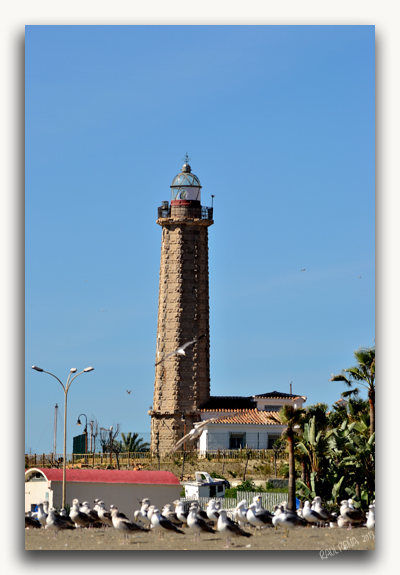 Zona de Estepona.: - Unas fotografías en la playa de La Rada en Estepona