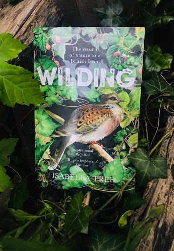 Chapter 12 - Wilding by Isabella Tree