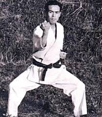 Godoi Budo Goju-Ryu: CONHECENDO A ARTE DO GOJU-RYU(Parte l)