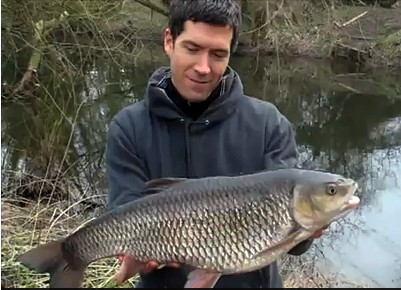International Fishing News: ENGLAND: super size chub landed