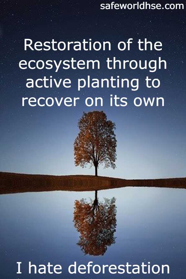Best Ecosystem restoration slogans, quotes, messages, images posters ...