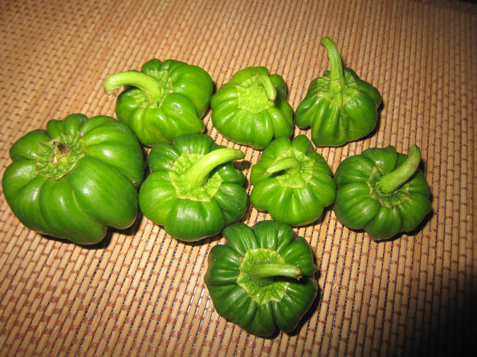 Archies Authentic Touch: Stuffed Small Spicy Variety Capsicum with ...