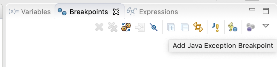 Programming For Beginners Eclipse Enable Break Point When Exception