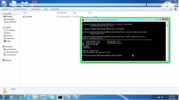 Subversion: SVN (Log Status Diff)